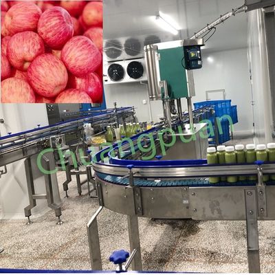 Fully Automated Apple Juice Processing Line 380V 50Hz