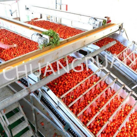 High-Speed Tomato Production Line Tube In Tube Sterilizer 2-20T/H ...