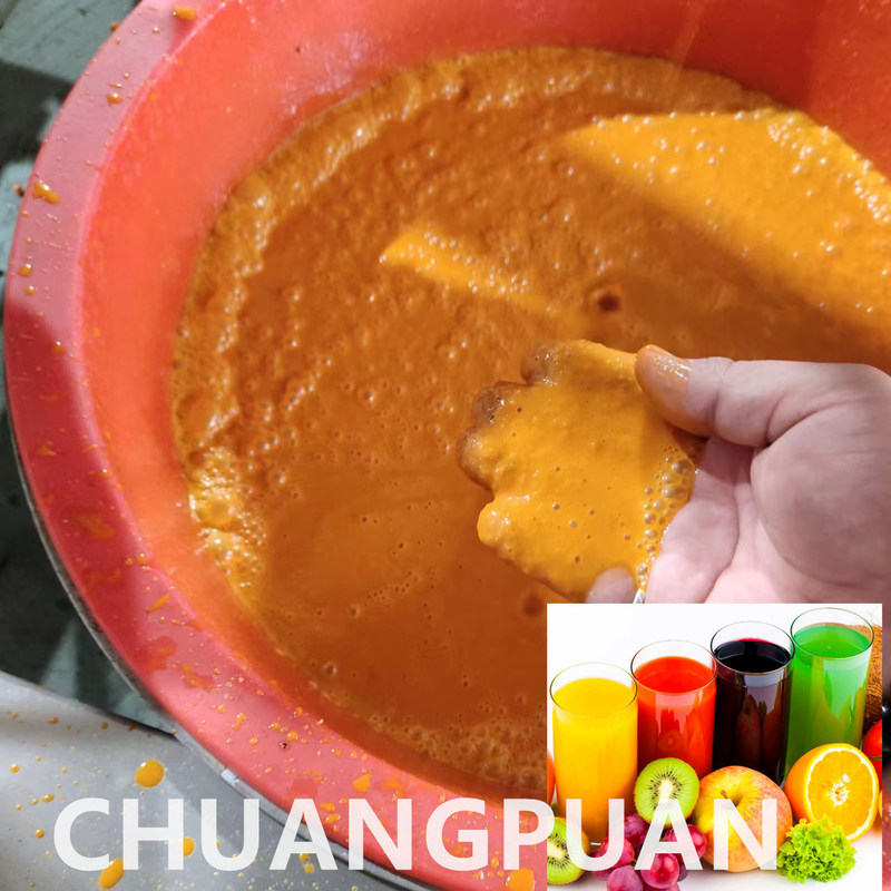 PLC Controlled Automatic Sea Buckthorn Juice Pulp Processing Line ...