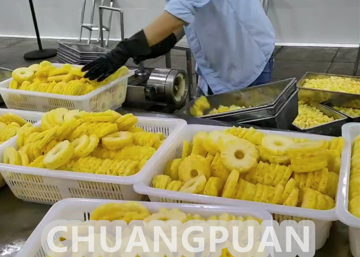 2-10T/H Pineapple Processing Line Stainless Steel Fully Automatic