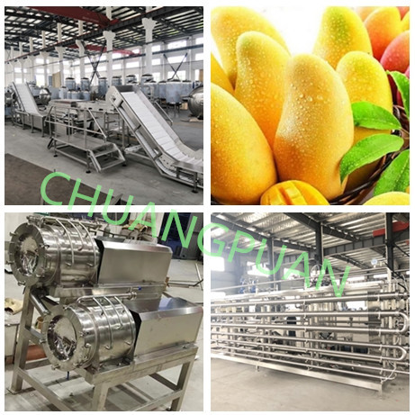 Capacity Sea Transport Fully Automatic Plc Mango Pulp Processing Line