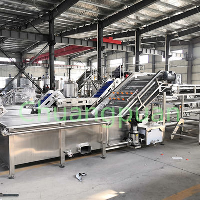 Automatic Mango Pulp Production Line Concentrated Mango Juice Processing Plant